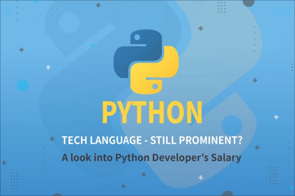 Python Developer Salary in India, USA and other countries