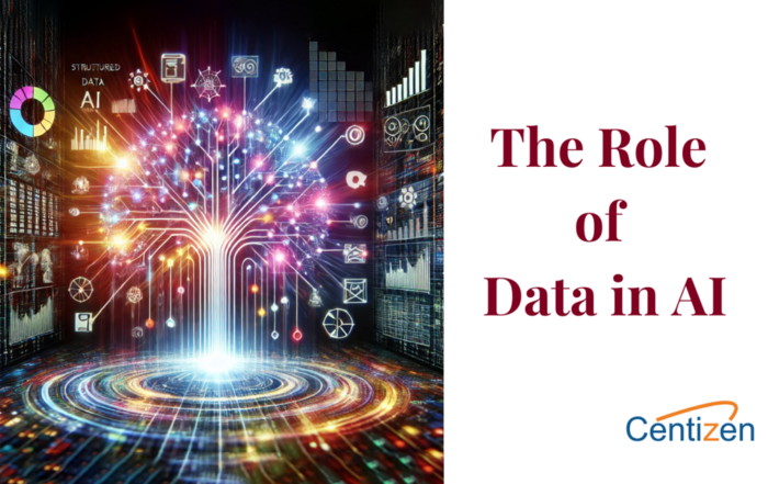 Big Data - Centizen Inc