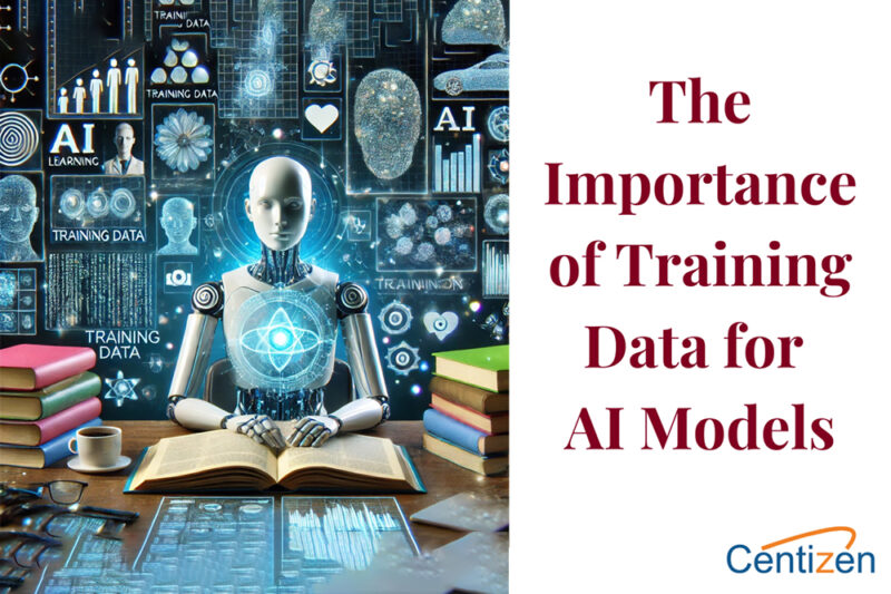 The Importance of Training Data for AI Models - Centizen Inc